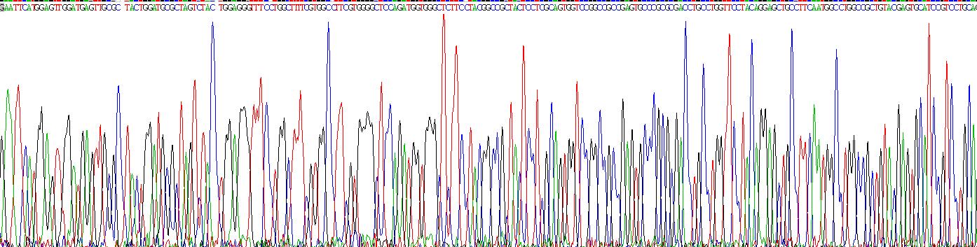 Recombinant Steroid 5 Alpha Reductase 1 (SRD5a1) | RPM286Mu01 | Mus ...
